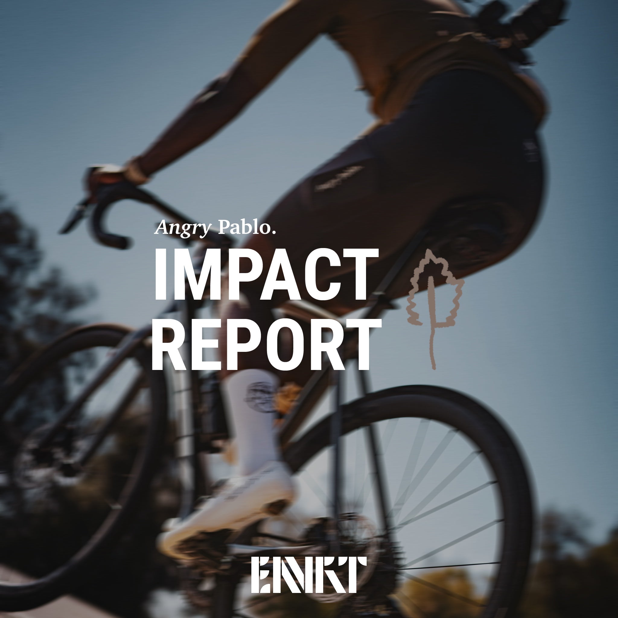 Angry Pablo Impact Report